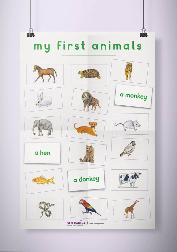 סדרת הפוסטרים - משחק כרטיסיות ללימוד אנגלית | Flash cards כרטיסי הברקה